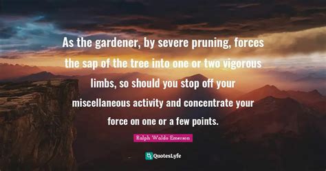 As The Gardener By Severe Pruning Forces The Sap Of The Tree Into On Quote By Ralph Waldo