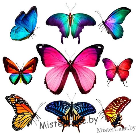 Вафельная картинка Щенячий патруль купить в Борисове и с доставкой по Беларуси