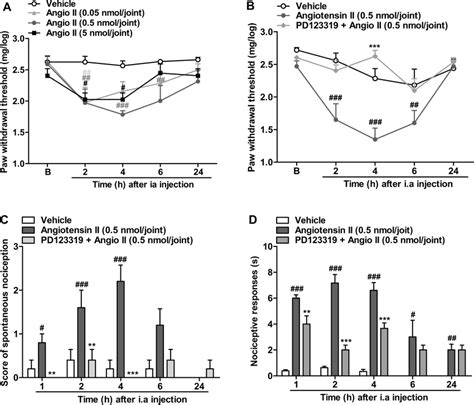 Articular Nociceptive Responses Induced By Angiotensin Ii And Its