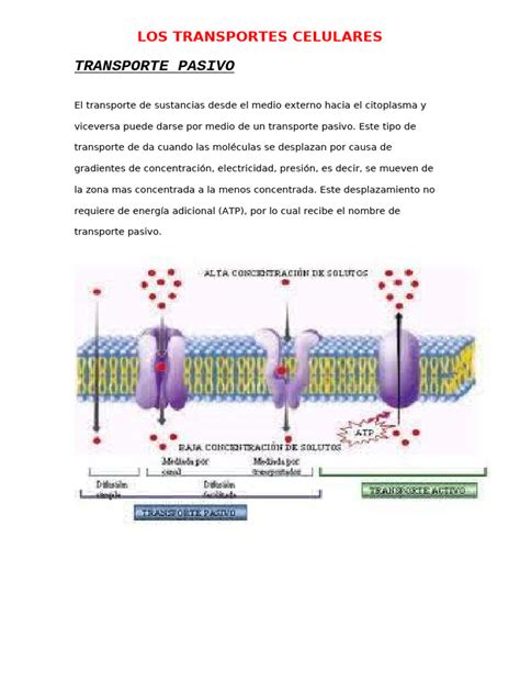 Tipos De Transportes Pdf