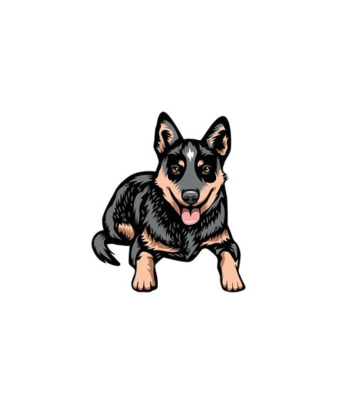 Australian Blue Heeler Svg Svg Cut File Car Decal Svg Instant