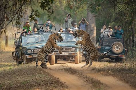 2023 Photo Contest Winners The Nature Conservancy