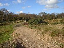 List Of Parks Gardens And Open Spaces In Norwich Wikipedia