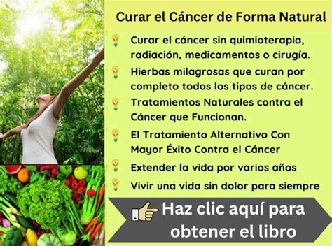 Etapas Del Dolor