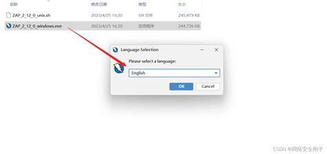 漏洞扫描工具owasp zap的下载、安装、使用教程 owasp zap下载 csdn博客