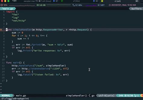 使用delve调试go Web请求 知乎
