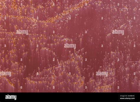 red metal surface featuring extensive rust and corrosion creating