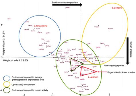 diagrams centred on the correspondence factor analysis cfa variables