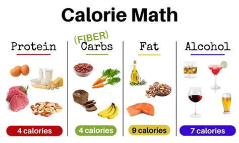 High Fiber Foods 101 A Comprehensive Guide The Geriatric Dietitian