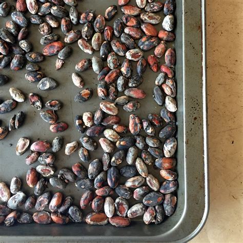 How To Make Cocoa Powder From Cacao Beans