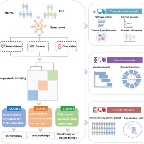 Schema Flow Chart Of The Study The Analysis Included Multi‐omics Data
