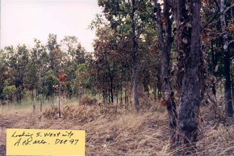 Terrain At Lz Xray Ia Drang Campaign