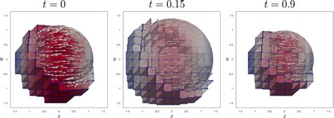 Illustration Of The Extension Mesh And Solution At Mesh Level 3