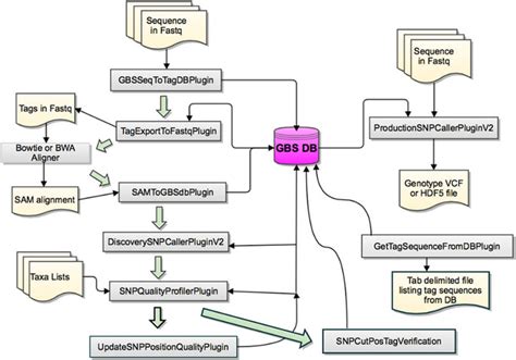 Genotyping By Sequencing Sequence Data Analysis Pipe Line Download Scientific Diagram