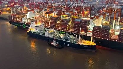 International Shipping Lines Container Shipping Cargo Services Zim