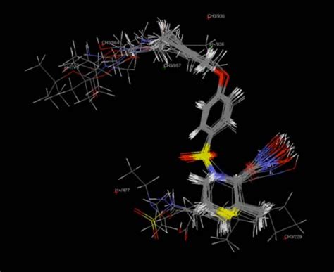 Mapping Of Equation Descriptor Points Generated By Mfa Analysis Over Download Scientific