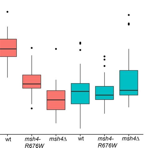 Histogram Of Inter Crossover Distances In Cm For Wild Type Msh4 R676w