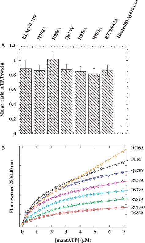 Atp Binding Activities As Determined By Nitrocellulose Filter A And Download Scientific