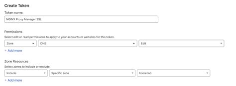 Homelab Networking Cloudflare Nginx And Split Dns Carter Roeser