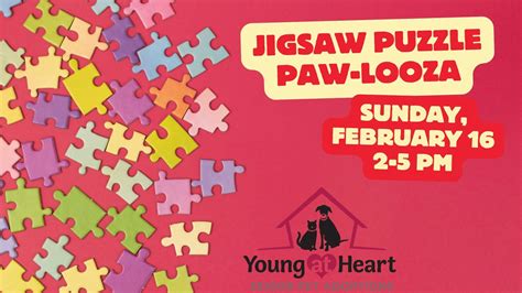 Jigsaw Puzzle Paw Looza Young At Heart