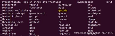 Python生成二维码全攻略 Csdn博客