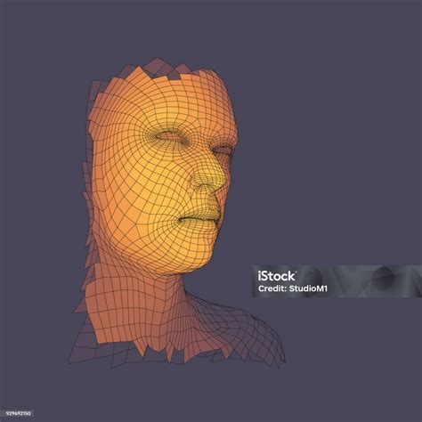 3 차원 격자에서 사람의 머리입니다 인간의 머리 모델을 연결합니다 얼굴 검색입니다 인간의 머리의 보기입니다 3d 형상 얼굴 디자인입니다 다각형 덮 음 피부입니다 벡터