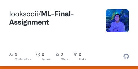 Github Looksociiml Final Assignment