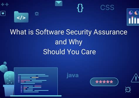 What Is Software Security Assurance Reflectiz