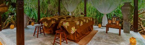 Wellness Enhance Rejuvenation Program Seven Day Wellness Program