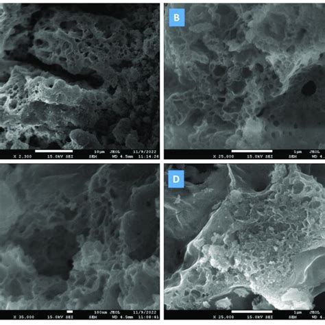 Sem Micrographs Of Mn Doped Porous Ceria Samples A Mn Ceo2 1 B
