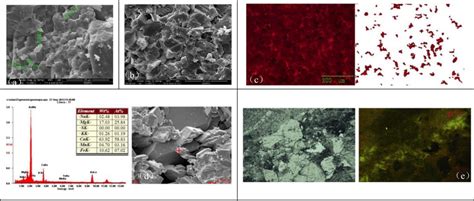 Evolution Of Pores In Ma5⁵ Dolomite Reservoirs A Dolomitic Micrite Download Scientific