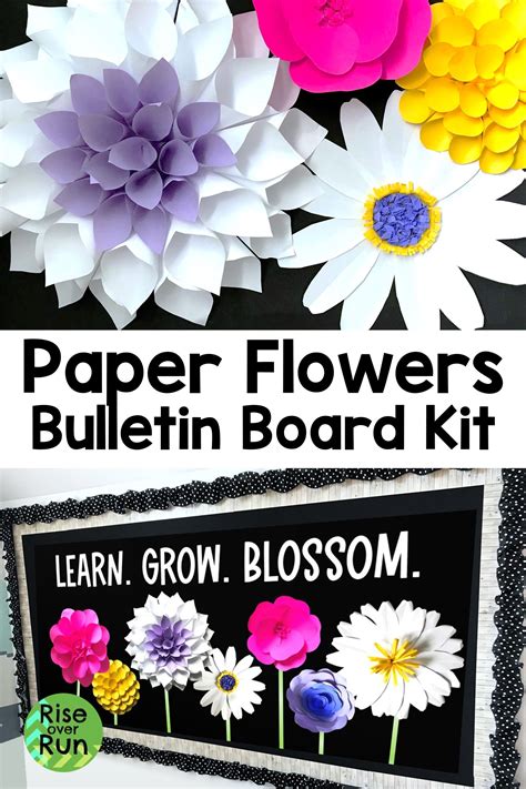 Parts Of A Flower Bulletin Board At Katharine Gillis Blog