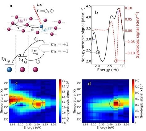 Icmab Spin Orbit Entanglement Driven By The Jahn Teller Effect