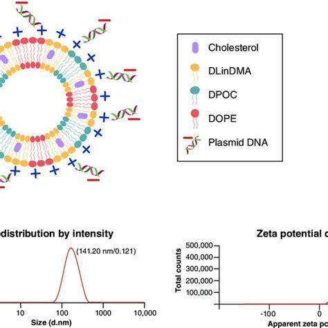 Physicochemical Characterization Of Dlindma Containing Liposomal Download Scientific Diagram