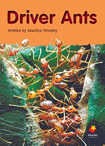 Driver Ants Marilyn Woolley 9781742341262 Books