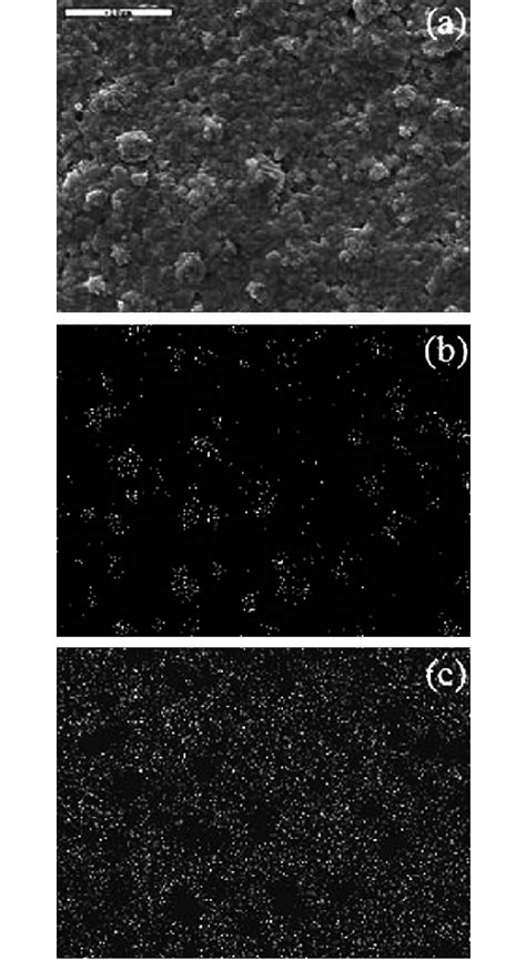 Scanning Electron Microscopy Micrograph A Showing The Microstructure Download Scientific