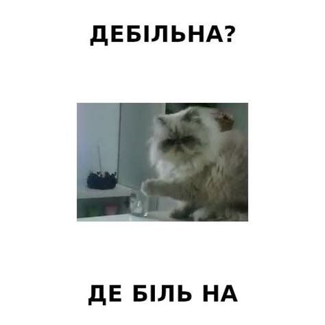 Український мем На тобі Дебільна Де біль на