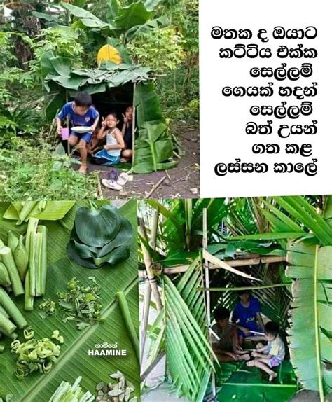 පස්දුන් රට පුවත් Added A New Photo පස්දුන් රට පුවත්