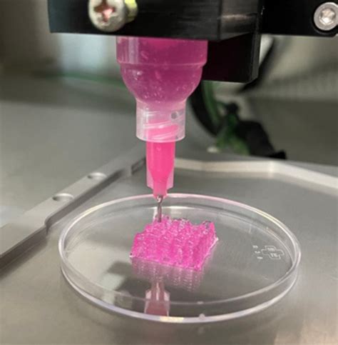 인체 조직 만드는 3d 바이오프린팅암도 정복할까 미래on 파이낸셜뉴스