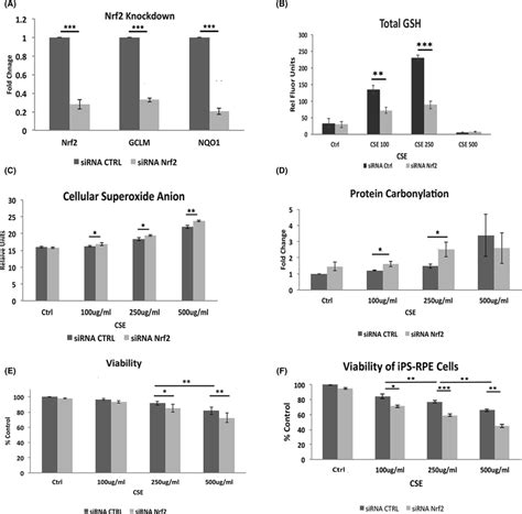 Nrf2 Deficiency Increases Oxidative Stress A Nrf2 Knockdown Kd By