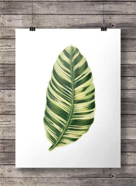 Vintage Banana Palm Leaf Printable Art Tropical Decor Wall Art