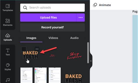 How To Flip Text In Canva