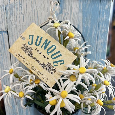 Junque For Joy Shelby Nc