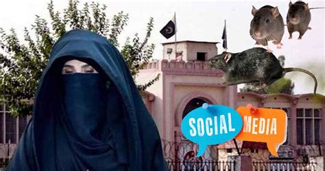 بشریٰ بی بی کی چوہے گرنے کی شکایت پر جج صاحب نے جگت بازی کی؟ Siasat