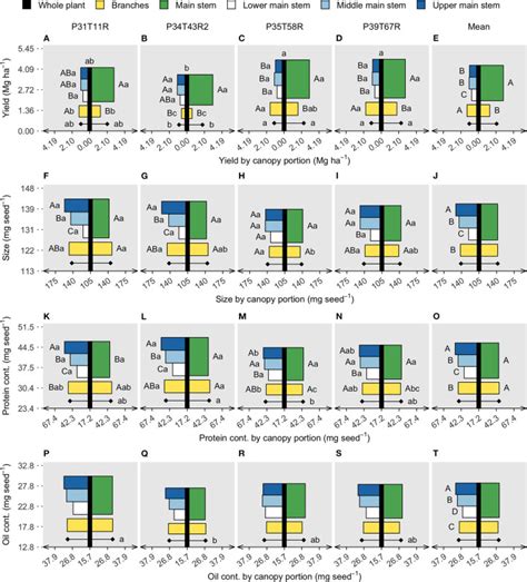 Vertical Canopy Profile And The Impact Of Branches On Soybean Seed Composition Pmc