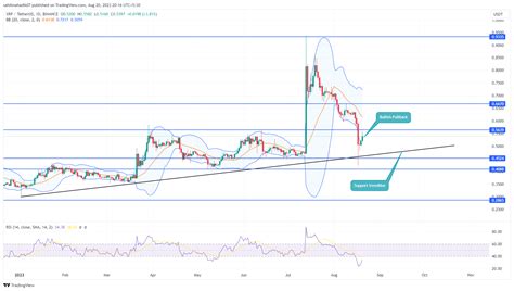 XRP Price Analysis Can Support Mark A Turning Point In Correction