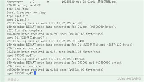 【运维心得】ftp命令行使用 ftp rename csdn博客