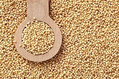 Cleaned Sortex Amaranth Rajgira Seed Loose At ₹ 100 Kg In Jodhpur
