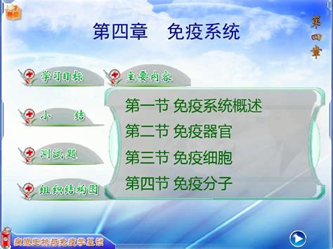 病原生物与免疫学基础课件第四章免疫系统 word文档在线阅读与下载 无忧文档