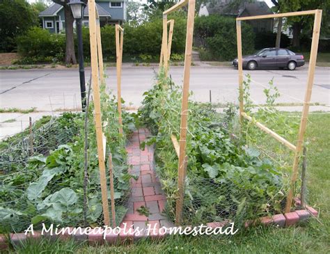 How To Build A Wooden Trellis Minneapolis Homestead